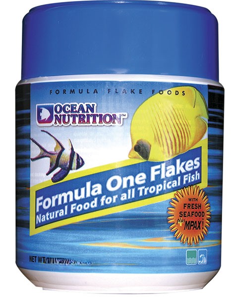 Fish Foods